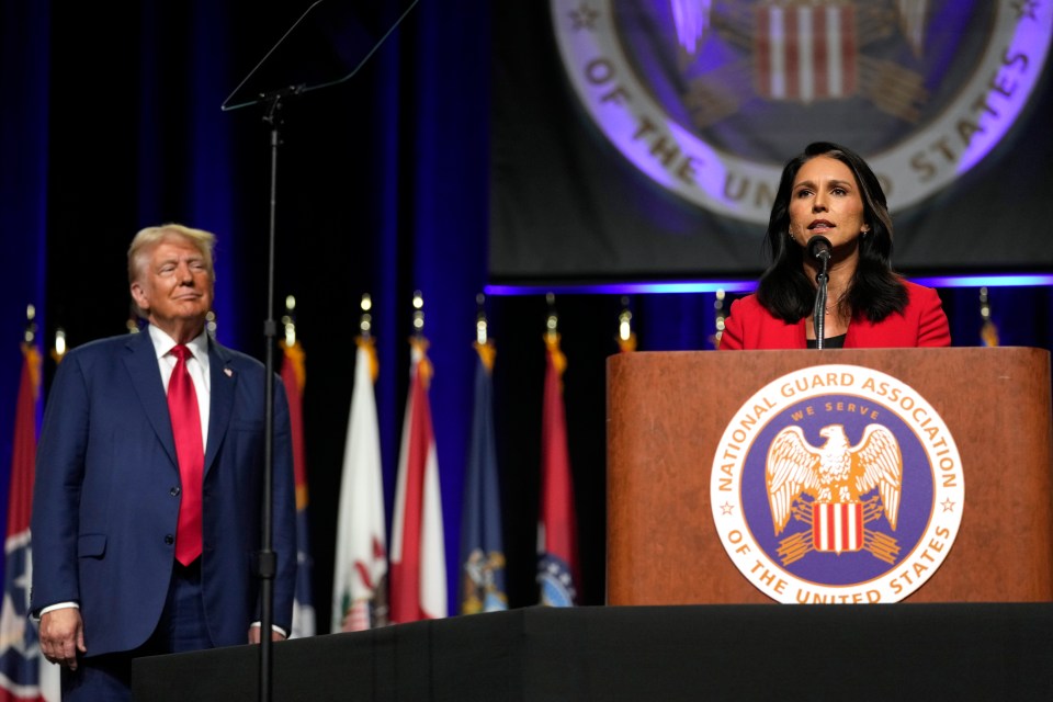 Denby Fawcett: I No Like Talk Stink About Tulsi Gabbard - Honolulu ...